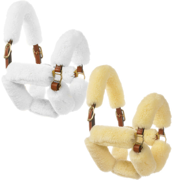 Europa Halter Tube Set 9PC – Tenneys Custom Saddlery