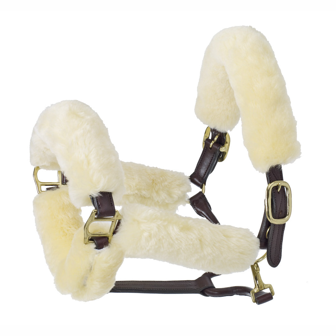 Europa Halter Tube Set 6PC – Tenneys Custom Saddlery